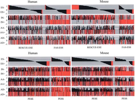 characteristics and regulatory elements defining constitutive splicing