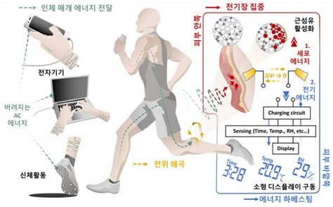 휴대폰 손에 쥐기만 해도전기자극 치료·웨어러블 기기 충전 동시에 Zdnet Korea
