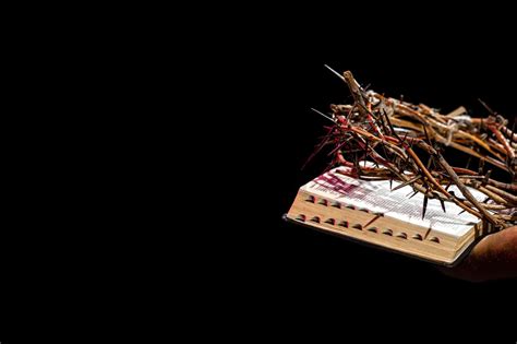 사순절 대표기도문 2024년