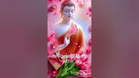 පිංවත් ඔබ සැමට සුබ උදැසනක් යහපත් දවසක් වෙවා තෙරුවන් සරනයි Youtube