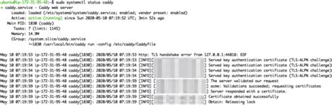 A Guide To Using The Caddy Server On Linux Boolean World