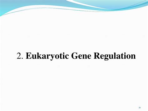 Ppt Prokaryotic Gene Expression And Regulation And Eukaryotic Gene