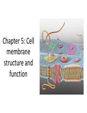 Cell Membrane Structure And Function Pdf Chapter Cell Membrane Structure And Function The