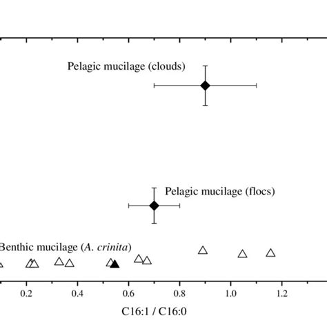 C C Vs C P C P Ratios In The Benthic A Crinita And N Download Scientific