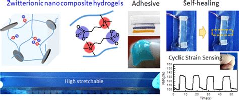 Zwitterionic Polymer