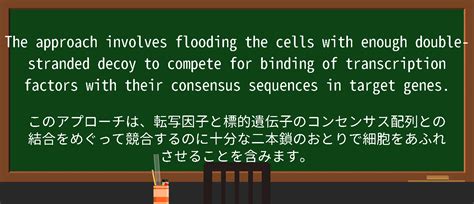 【英単語】consensus Sequenceを徹底解説！意味、使い方、例文、読み方