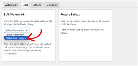 How To Automatically Add Watermark To Images In WordPress DanbiHost