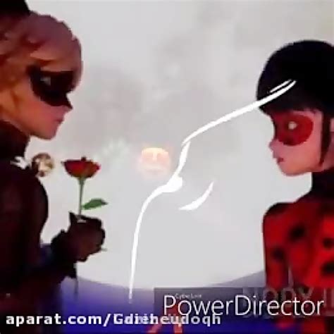 کلیپ متنی کت نوار و لیدی باگ کپی به شدت ممنوع