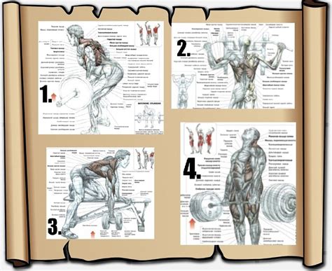 Тренируй широчайшие мышцы зная их анатомию Как растут крылья Body кач Дзен