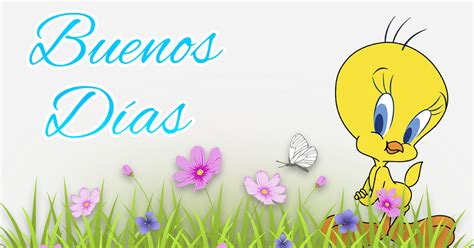 Piolín Buenos Días Lunes 🐥 Imágenes Buenos Días