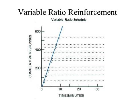 Reinforcement Schedules 1 Continuous Reinforcement Reinforces The Desired