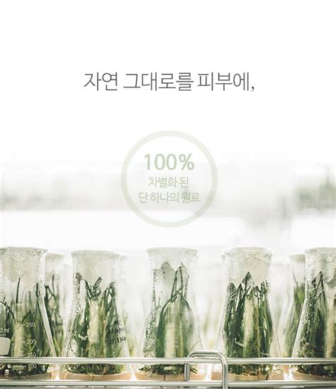 Buy Cellbn 100 Original Pleuropterus Multiflorus Extract In Bulk