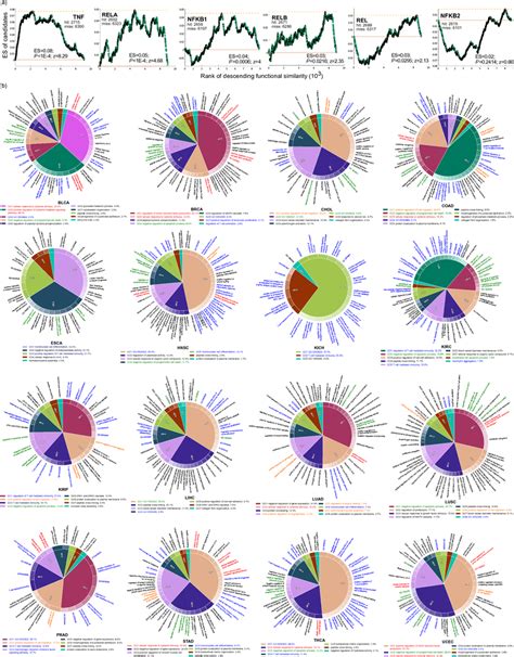 Functional Analysis Of The Predicted Candidates A Functional Download Scientific Diagram