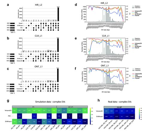 Overlapping Calls Size Distribution And Accuracy For Sv Discovery And