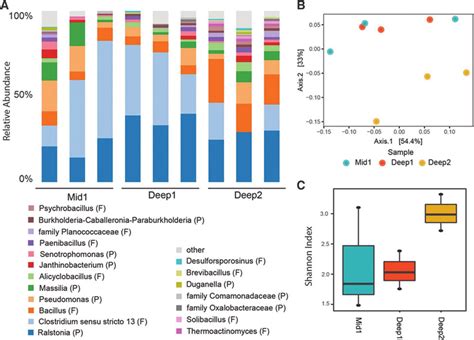 Genera Alpha And Beta Diversity Of Microbial Communities In 19 Kya Download Scientific Diagram