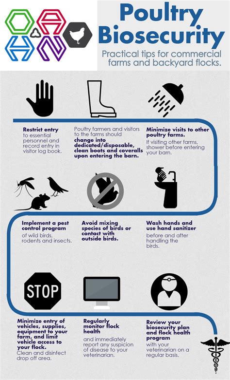 Poultry Biosecurity Poultry Business Poultry Farm Poultry Farm Design