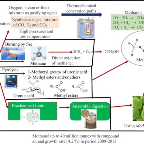 Methanol Synthesis From Plant Biomass By Thermochemical Biochemical