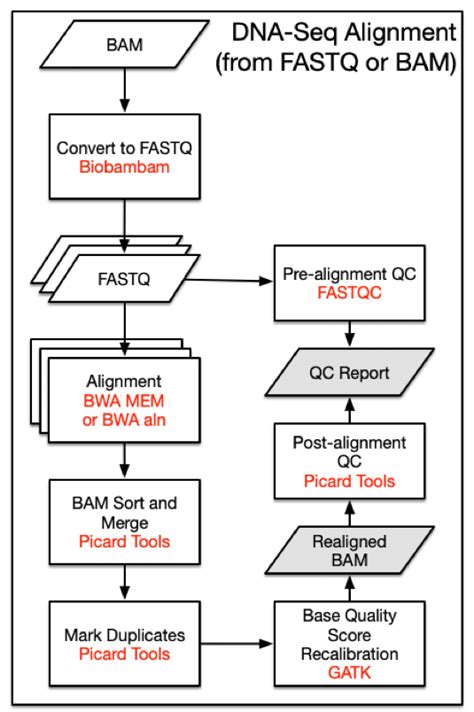 Bioinformatics Pipeline Dna Seq Analysis Whole Exome And Targeted