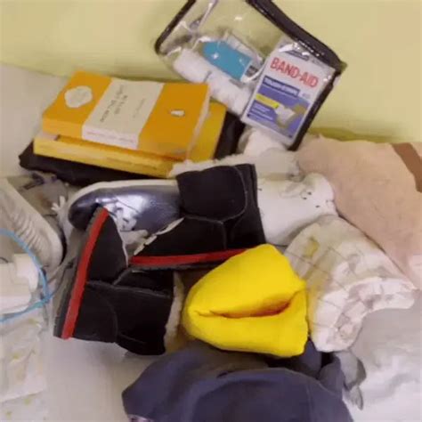 Travel Easy With Your Luggage Stroller On A Plane Ternx