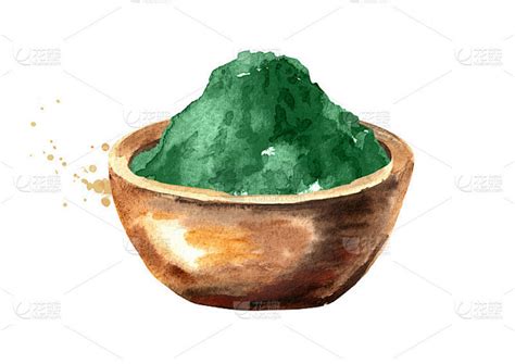 有机螺旋藻粉水彩手绘插图孤立的白色背景