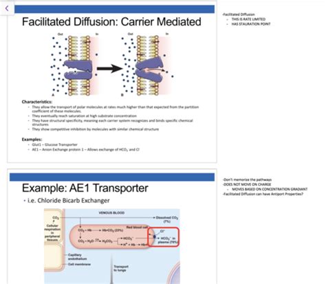 CHE Exam Flashcards Quizlet