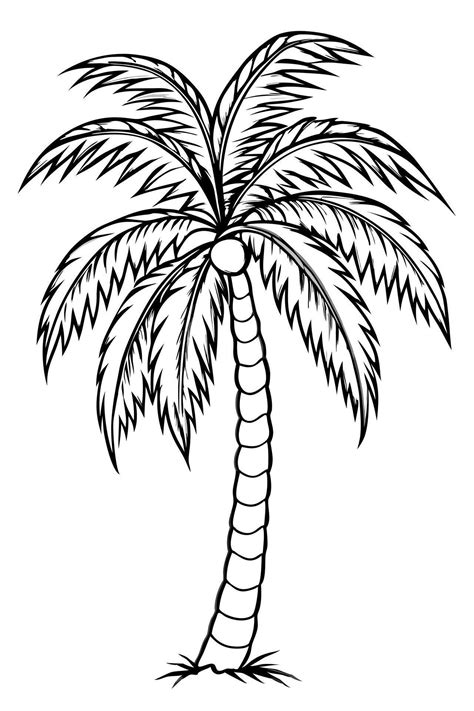 Coconut Tree Illustration Line Art Vector Art At Vecteezy