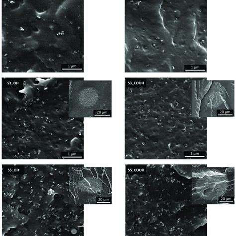 Sem Micrographs Of Impact Fracture Surfaces Of Selected Plasticized Download Scientific Diagram