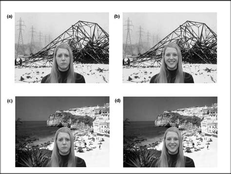 Figure 1 From The Role Of Affective Information In Context On The