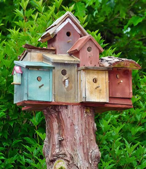 How To Make A Tree Stump Planter Lots Of Creative Ideas Gingham Gardens