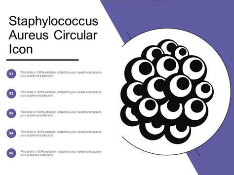 Staphylococcus Aureus Circular Icon Presentation Powerpoint Diagrams