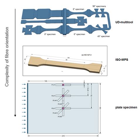 Overview Of Different Specimens Download Scientific Diagram