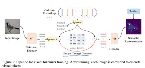 Beit V Masked Image Modeling With Vector Quantized Visual Tokenizers