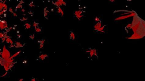 Maple Particle Loop Animation 32703687 Stock Video At Vecteezy