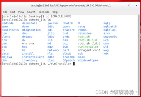 oracle12c到19c adg搭建（三）oracle19c数据库软件安装 v982063 01 zip csdn博客