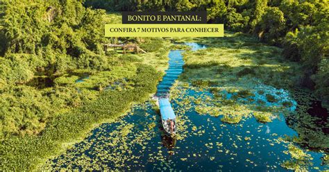 Bonito E Pantanal Confira 7 Motivos Para Conhecer