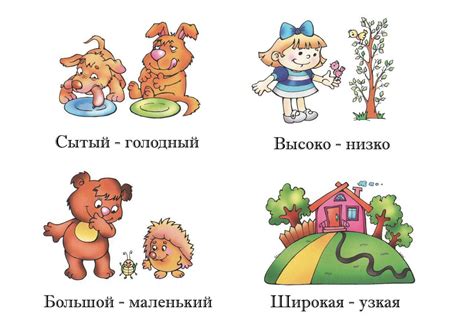 Противоположности Картинки Для Детей 66 фото