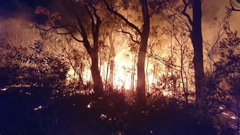 Eco Logical Australia Approved To Deliver Basic Wildfire Awareness