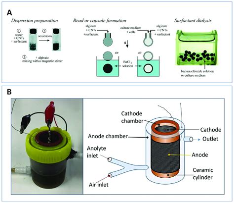 Examples Of Hydrogel Based Mfcs Used In Sensor Applications A Download Scientific Diagram