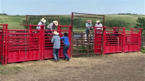 Mx 04 Roxy Babe Youtube