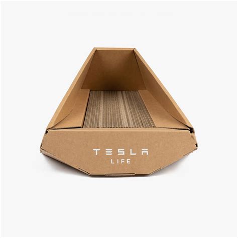 Tesla Releases Cardboard Cat House Informed By Cybertruck In China