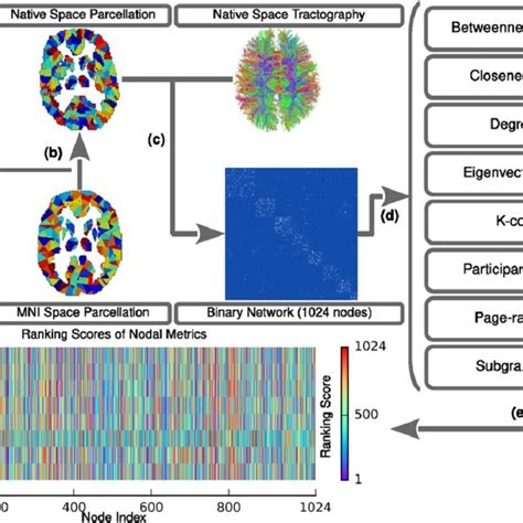 Fig Ure 1 Flowchart Of The Network Construction And Graph Nodal Metric Download Scientific