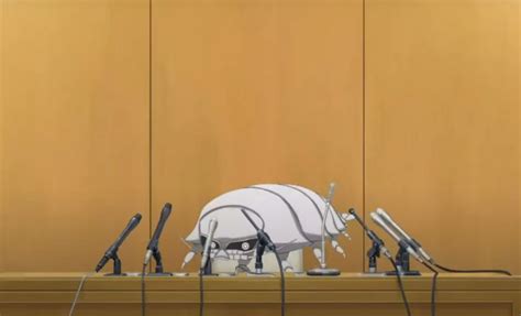 🌊 Un Isopode Géant Japonais Devient Une Star Des Réseaux Sociaux