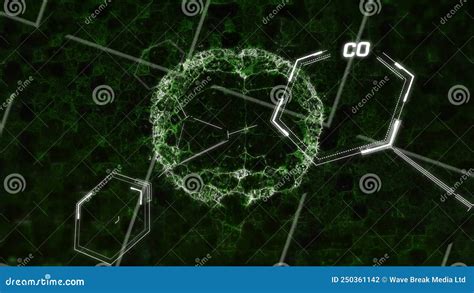 Animation Of Human Brain Network Of Connections With Chemical