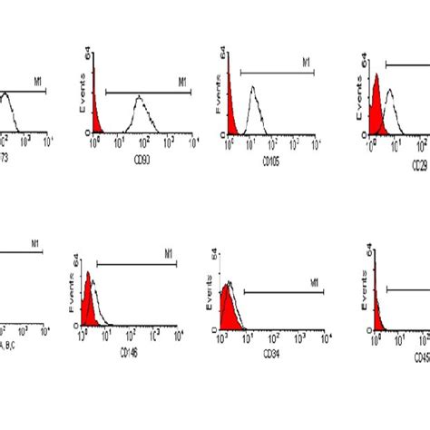 Flow Cytometry Analysis Of Surface Markers Expressed By Gbm Acs