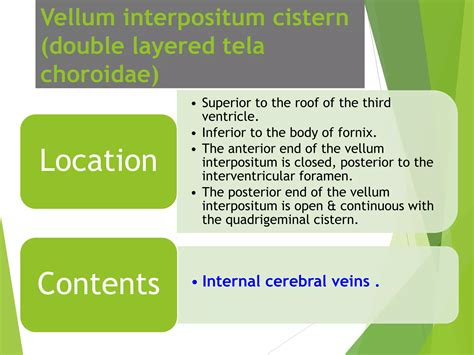 Basal Cisterns Final Ppt