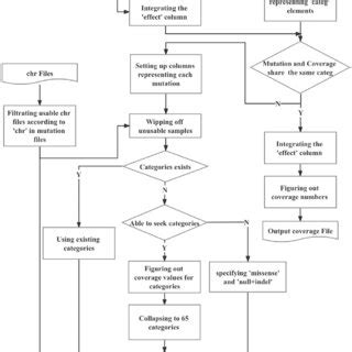 Workflow Of Preprocessing Download Scientific Diagram