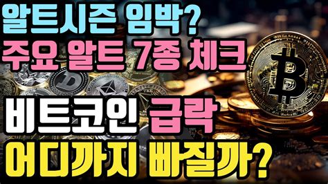 비트코인 급락 겁 안 나는 이유 ⎮ 비트코인 리플 이더리움 비트코인etf 비트코인가격 리플 리플코인 리플소송