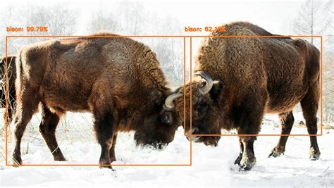 Github Stevieg47 Object Detection Classification Image Classification Object Detection In