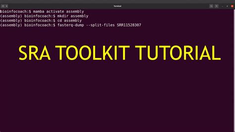 Sratoolkit Tutorial How To Download Viral Sequence Data Youtube