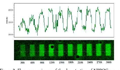 Figure 1 From Light Directed Synthesis Of High Density Peptide Nucleic